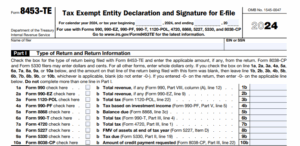 IRS Form 8453-TE - Tax Exempt Entity Declaration